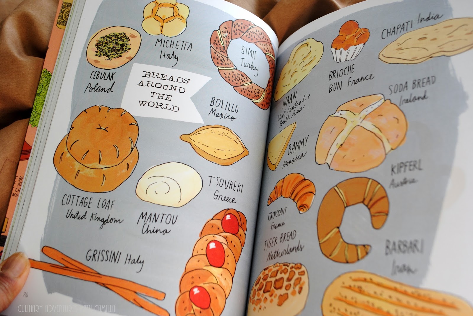 Food Anatomy: The Curious Parts & Pieces of Our Edible World for Foodie ...