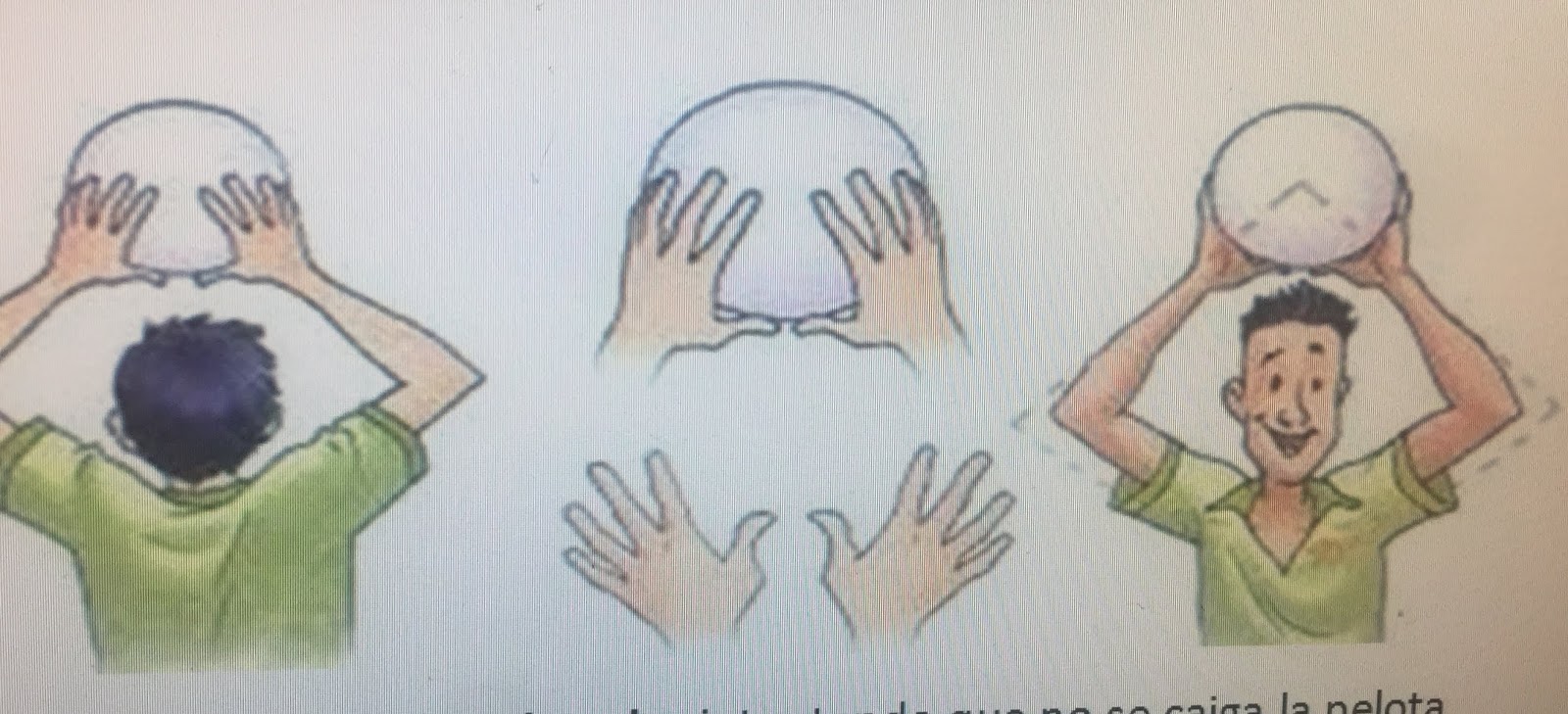 EDUCACIÓN FÍSICA ECHEVERRÍA