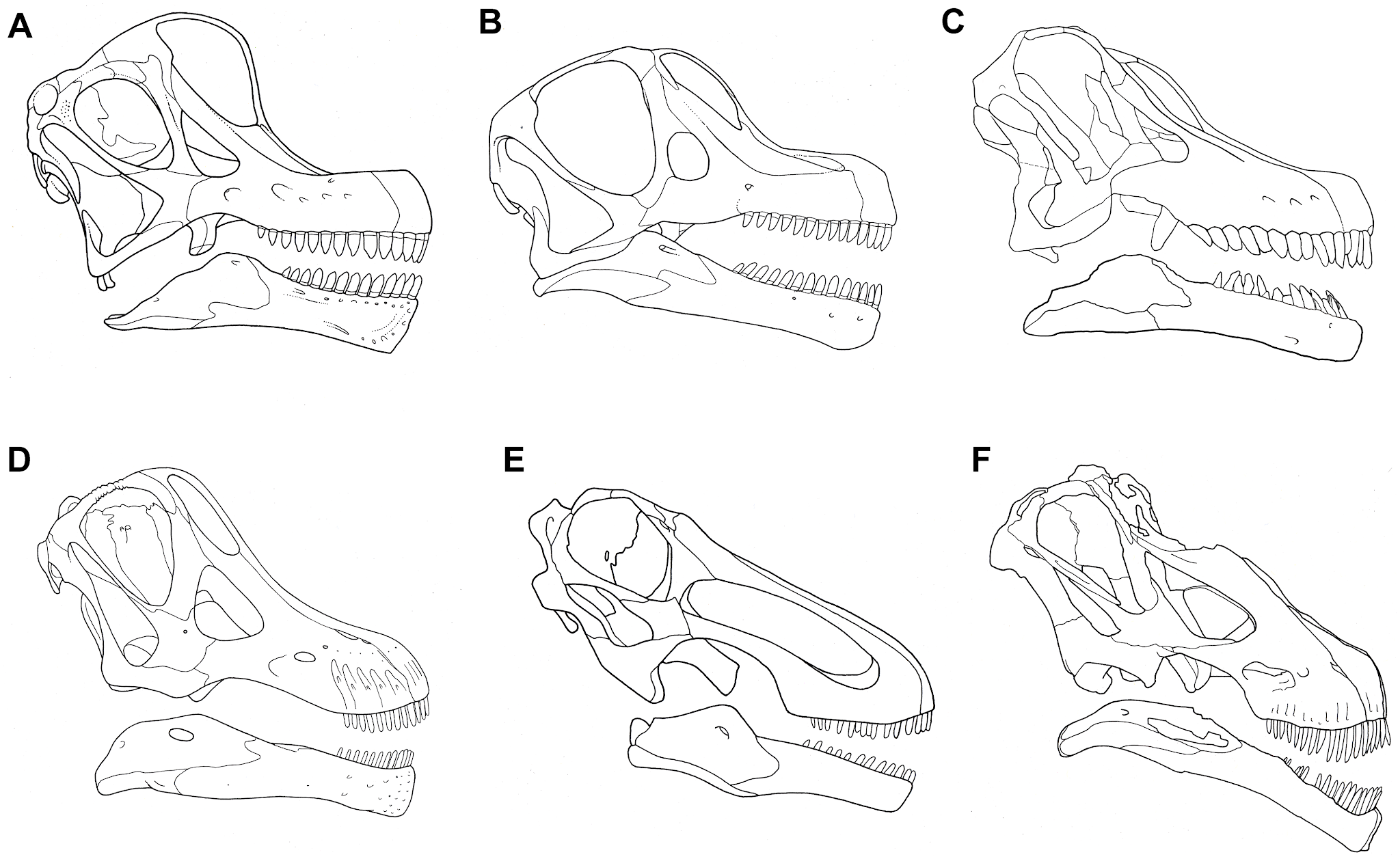 Equatorial Minnesota: Your Friends The Titanosaurs, part 29 ...