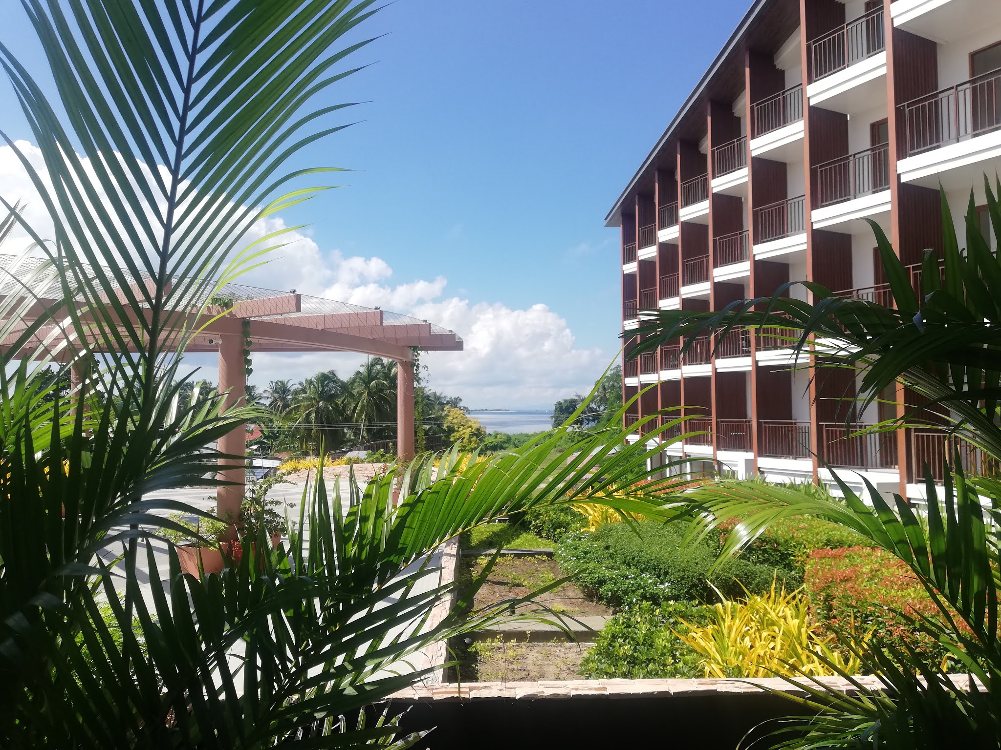 Bohol's Roving Eye: Welcome to Modala Beach Resort in Panglao, Bohol