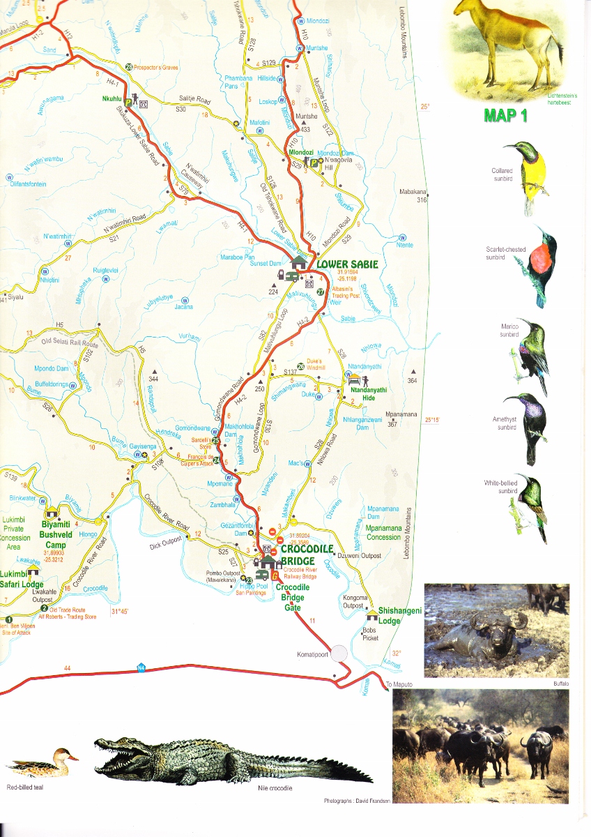 Kruger National Park - 2011 -: Lower Sabie Map