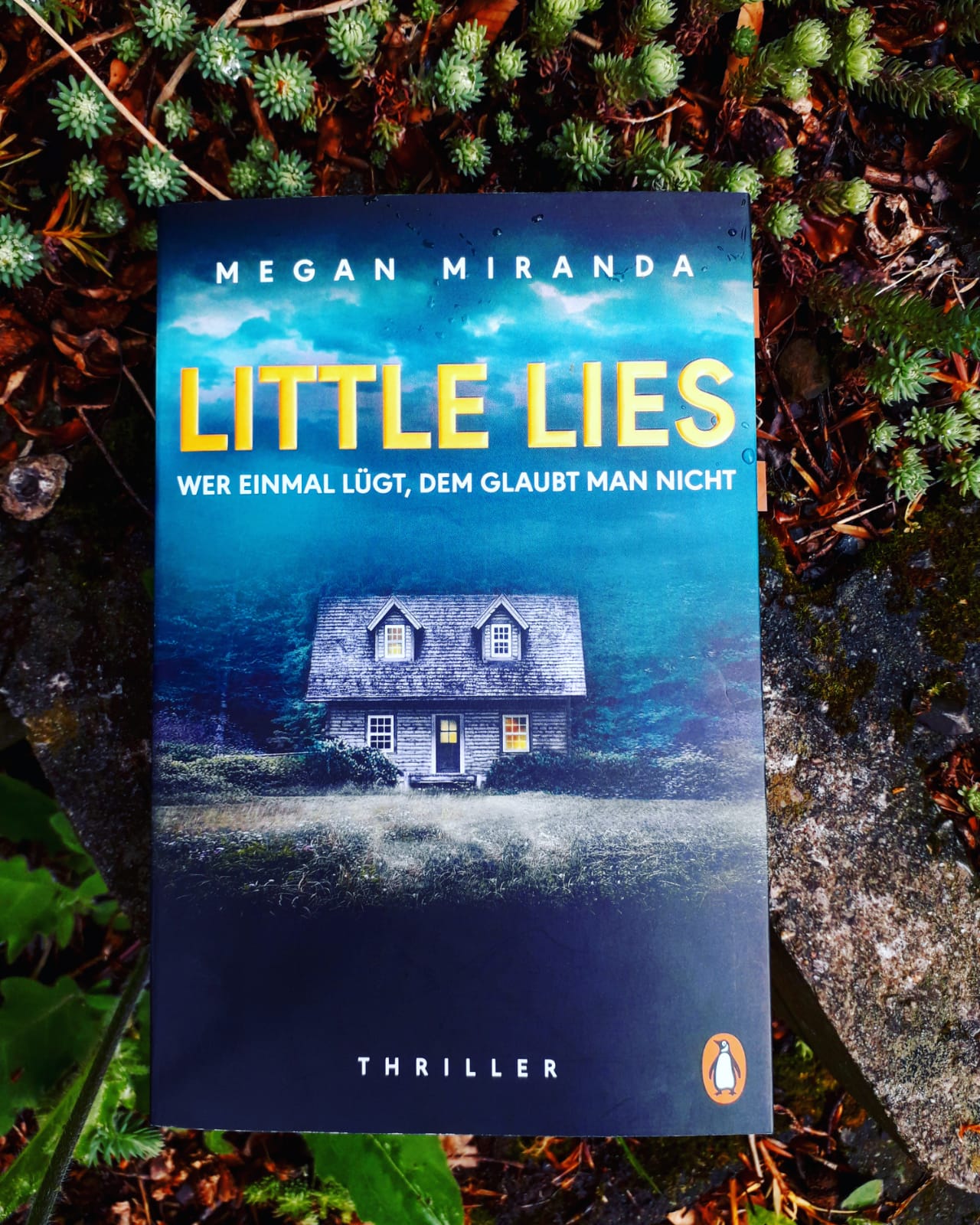 Die fabelhafte Welt der Bücher: [Rezension] Little Lies / Wer einmal lügt, dem glaubt man nicht ...