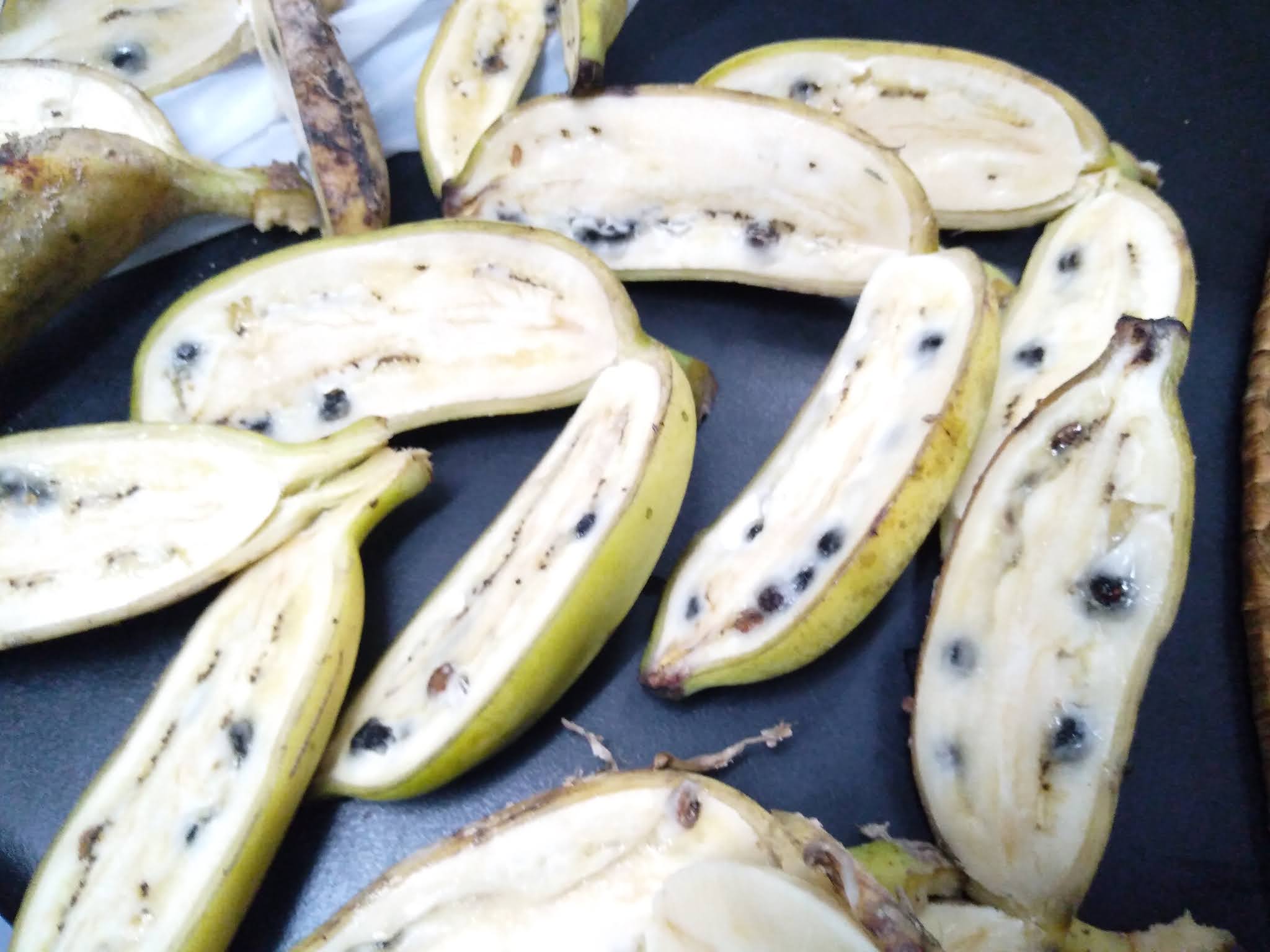 Namakucella Rezeki Setandan Pisang Biji