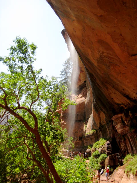 Travel With Whippets: Kayenta + Emerald Pools Trails and Kolob Terrace ...