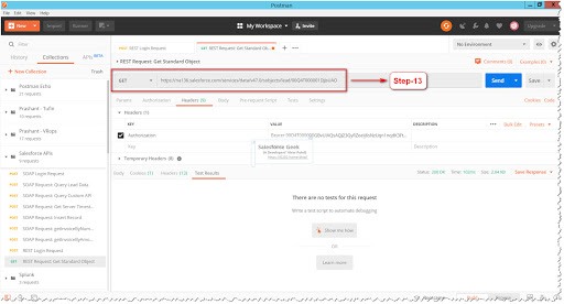 Salesforce REST API: Working with Salesforce SObjects using REST API