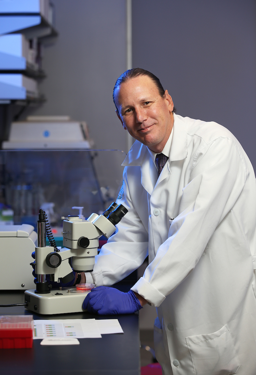 Med School Watercooler: Macaluso's research aims to prevent cat scratch ...