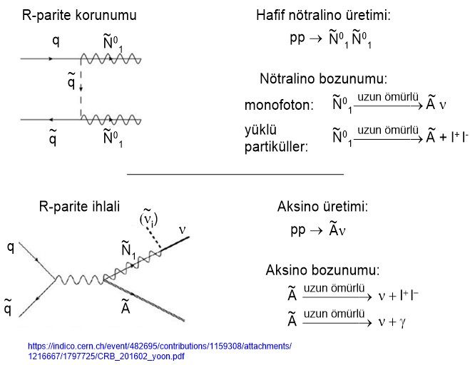 Prof. Dr. Bilsen Beşergil: Aksino (axino)