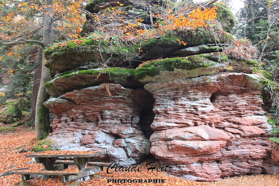 Autour du rocher du Coucou - Mes photos à travers l'Alsace