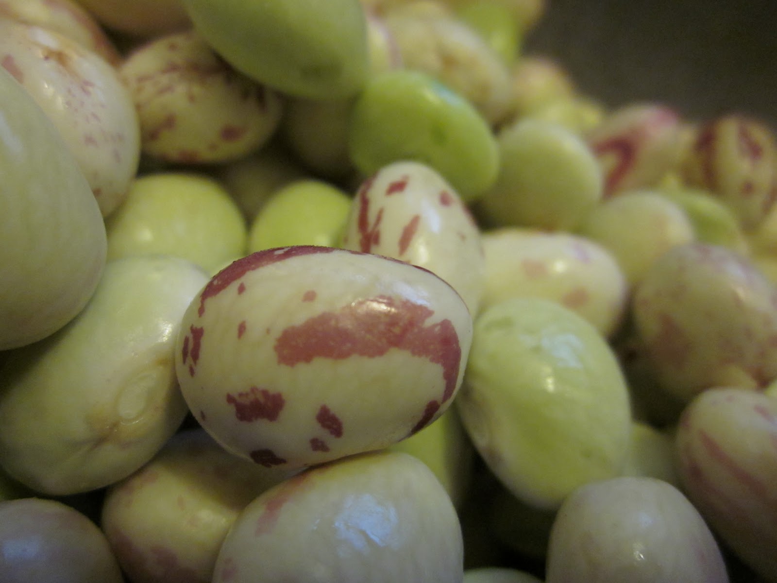 Tongue of Fire Shelling Beans