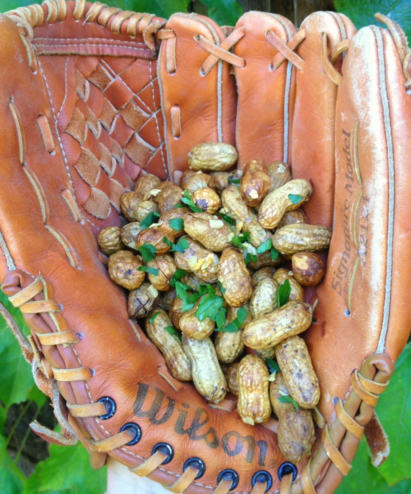 Jac o' lyn Murphy: Garlic Roasted Ballpark Peanuts