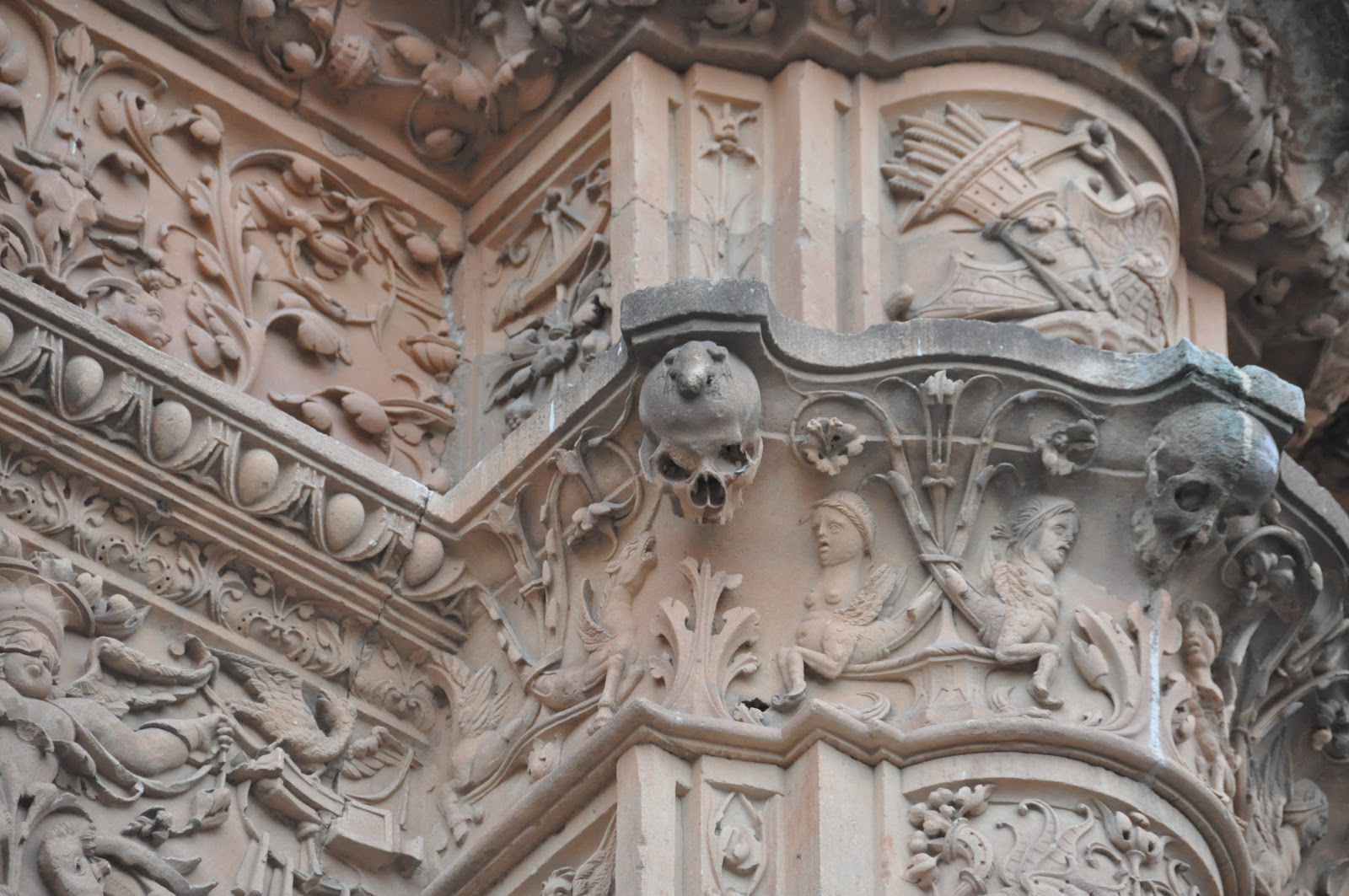 La rana más famosa de Salamanca ~ El LoBo BoBo,... un blog de viajes