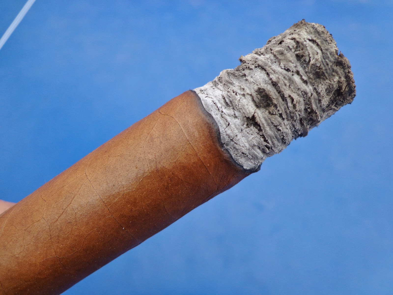 The Cigar Assessor: AJ Fernandez Pinolero Gran Toro