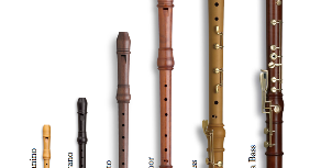 Amazing Recorder: Picture