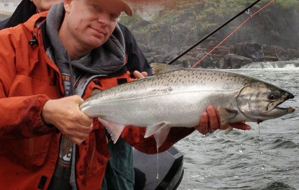 Shad Fishing in Oregon | Water Time Outfitters