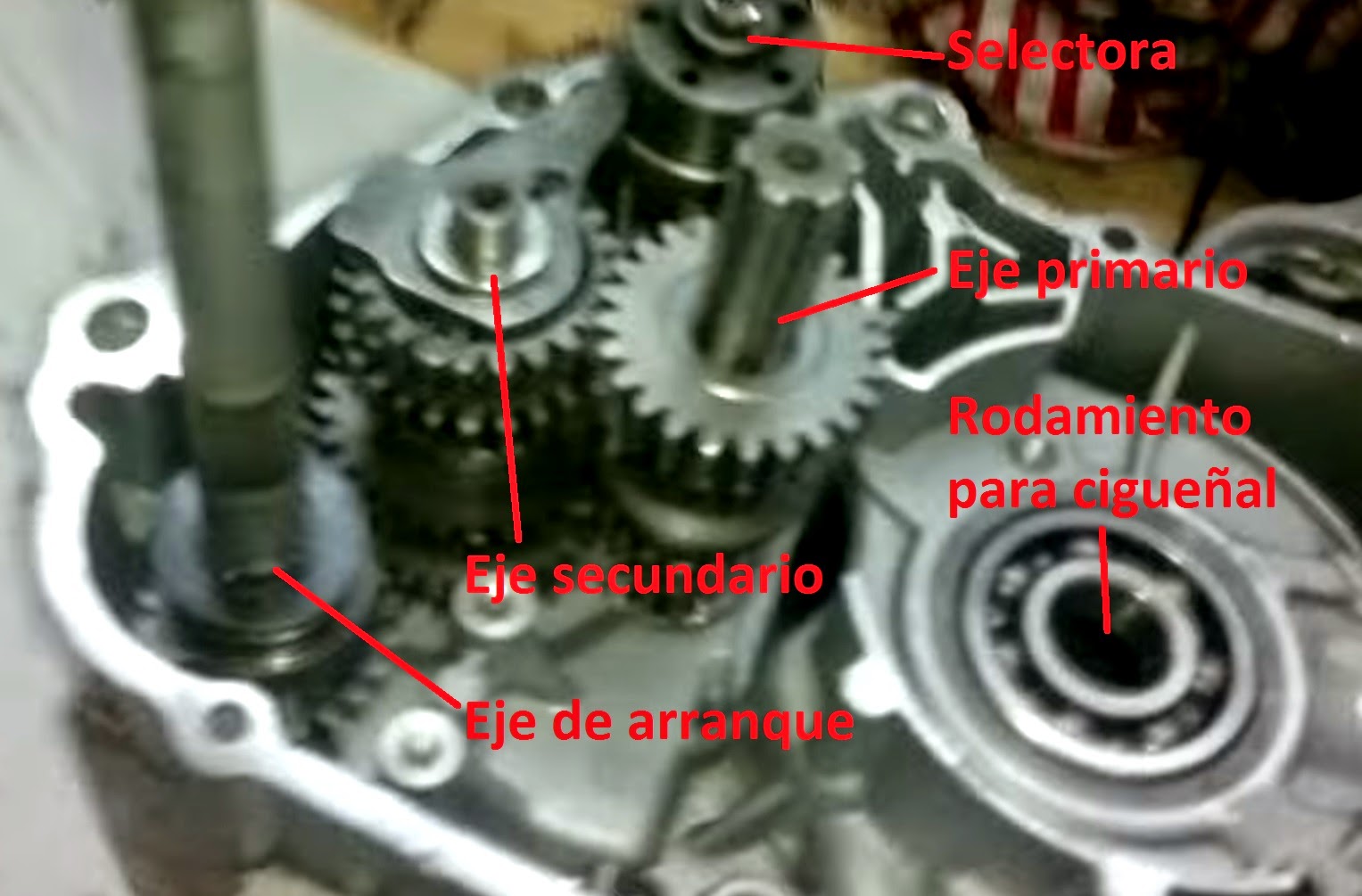 Todo sobre motos: Mecánica: Caja de cambios