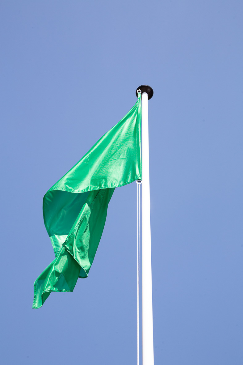 Centro de Estudios Borjanos: El izado de la bandera verde en Ambel