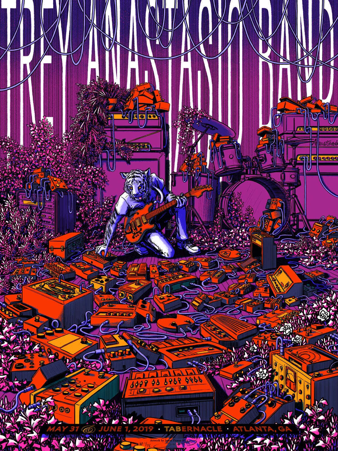 INSIDE THE ROCK POSTER FRAME BLOG: James Flames Trey Anastasio Band ...