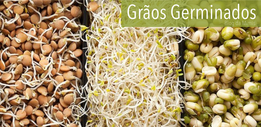 Semeando Sustentabilidade: Germinados: Aprenda Seus Benefícios E Como ...