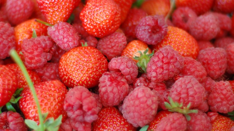 SWEET ALMOND TREE: Best cheesecake in the world: Cordon Rose Cream ...