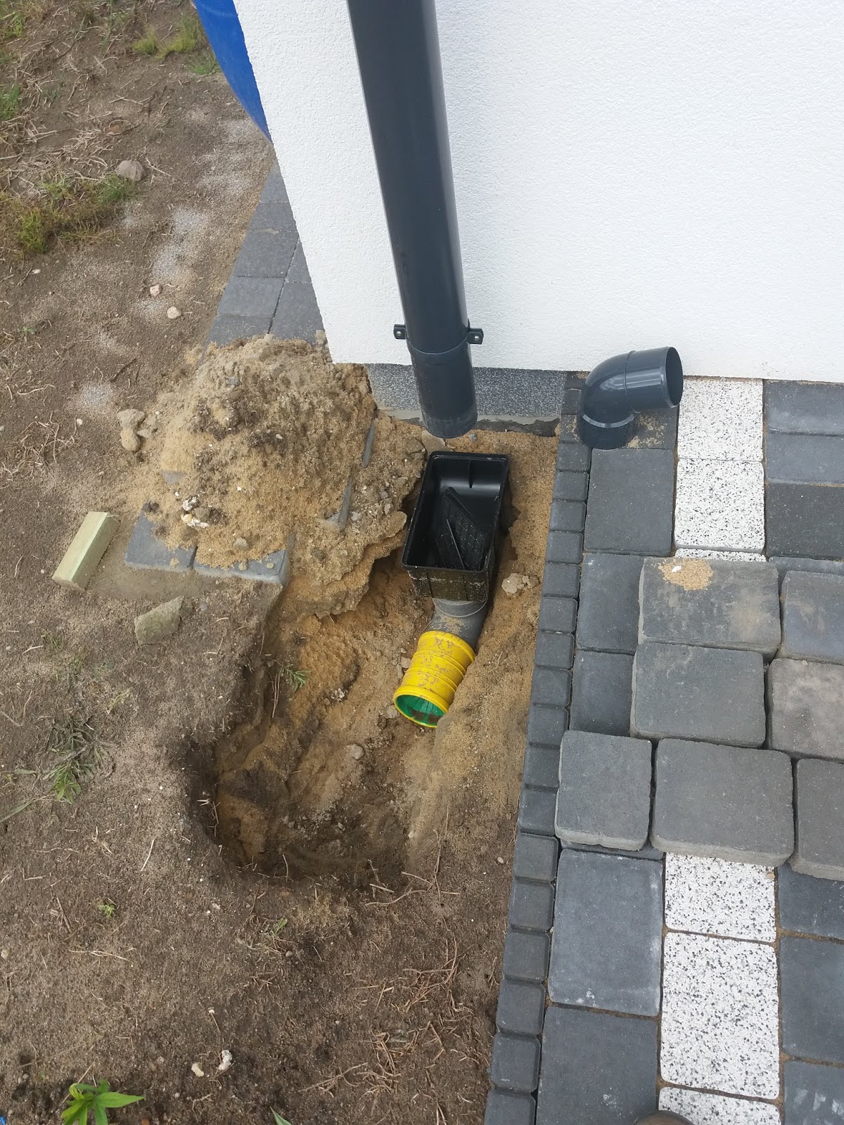 Inwentaryzacja i wycinka drzew: Studnia chłonna; odprowadzenie wody z rynny