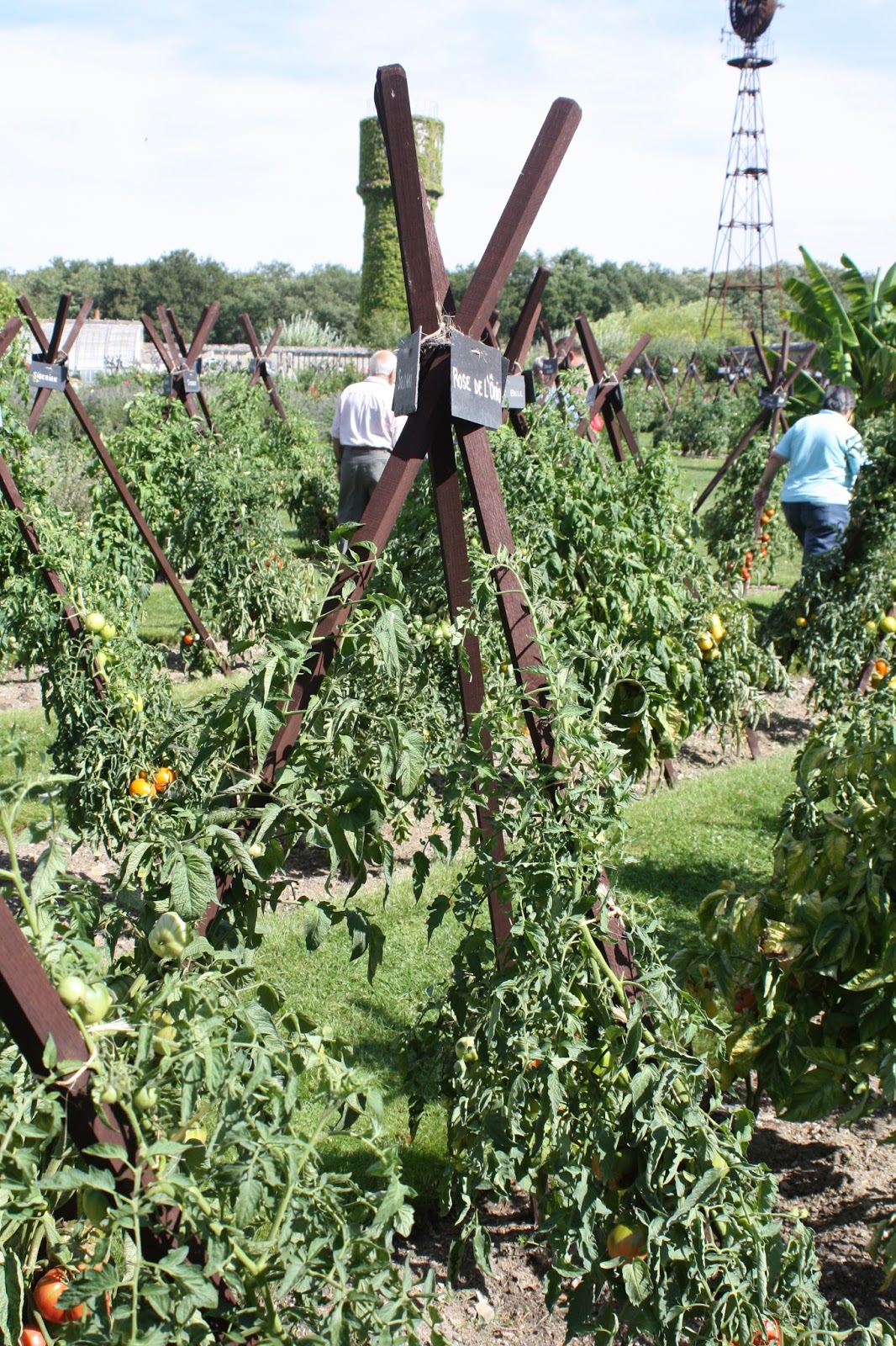 Debbie's Delectable Delights