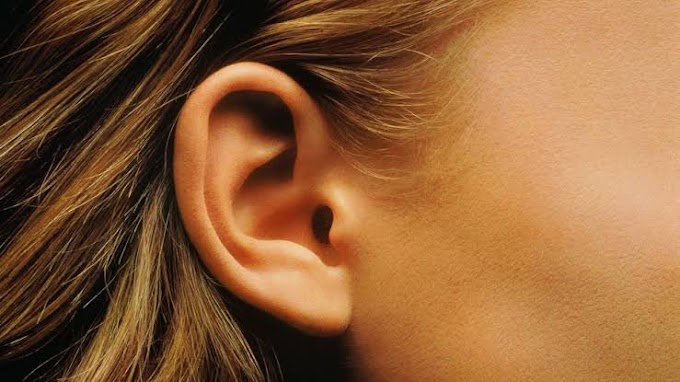 Ears - Organs of Hearing | Biology | NEET