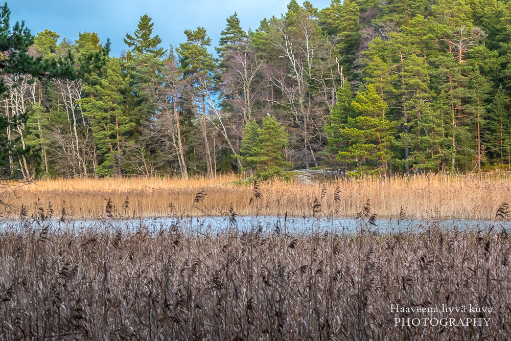 Haaveena hyvä kuva: Linlo