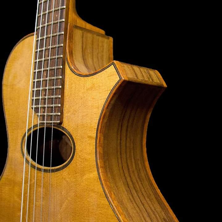 This baritone 5 string mandolin features a torrefied Spruce top | LAPAK ...