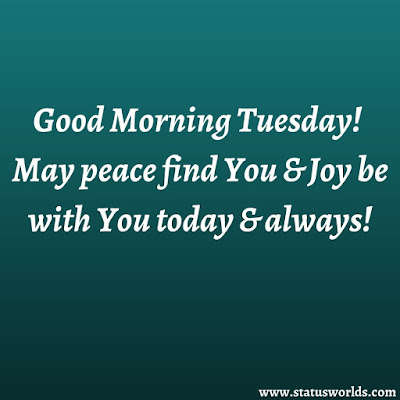 294+ Tuesday Captions, Wishes, Status & Quotes For Tuesday Lover People ...