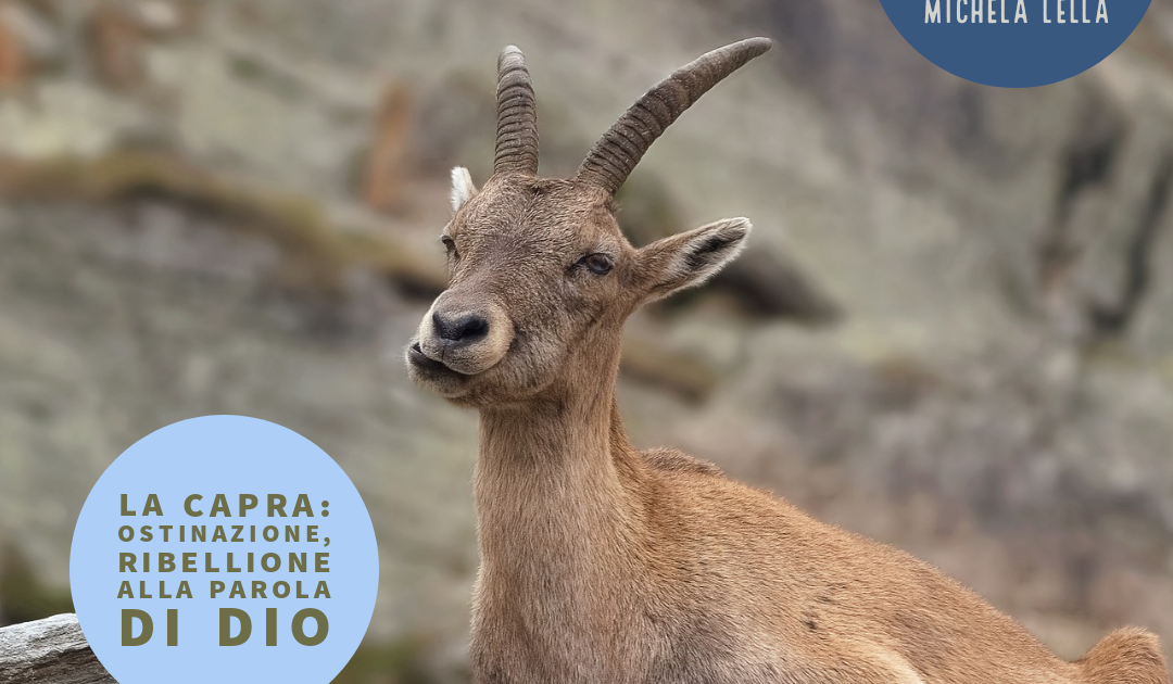 La capra