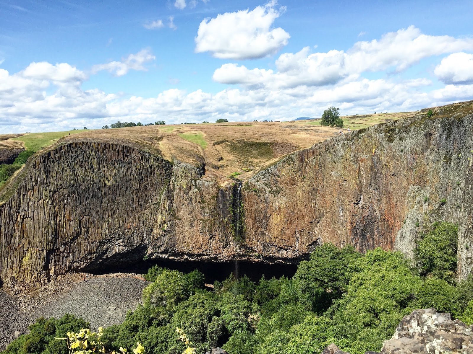 Run-Hike-Play: North Table Mountain Ecological Reserve Hike with the Fam