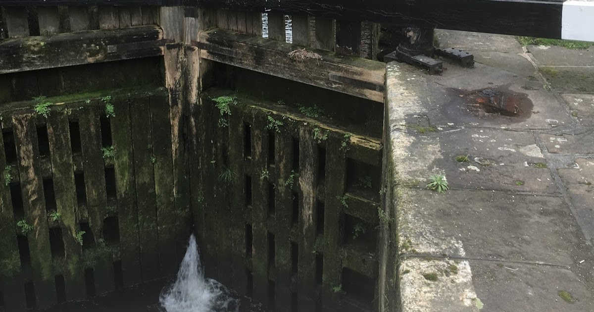 Anna Lupton: Life in Leeds