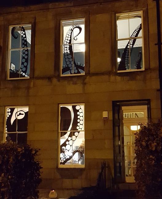 the art room plant: Strathbungo Window Wonderland.