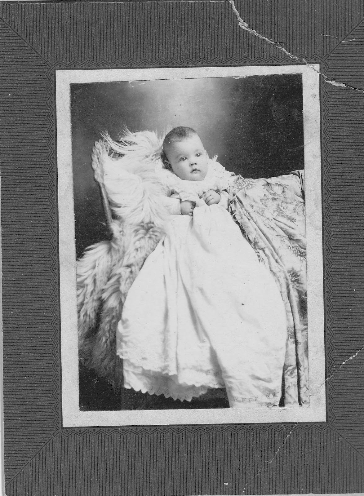 My Big Southern Dig Roots Of My Ancestors Lost Ancestors my-big-southern-dig-roots-of-my-ancestors-lost-ancestors