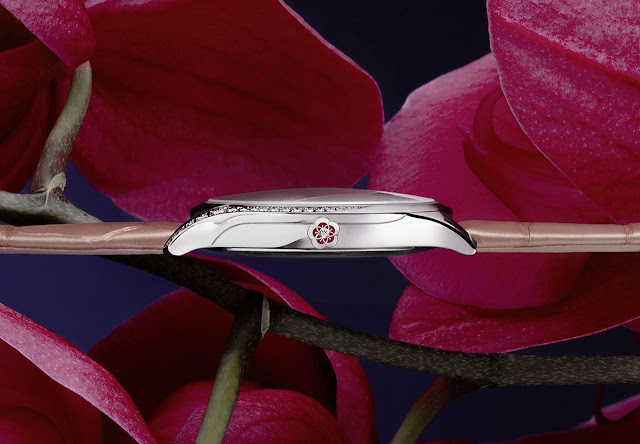 Omega Trésor collection, new 2020 models