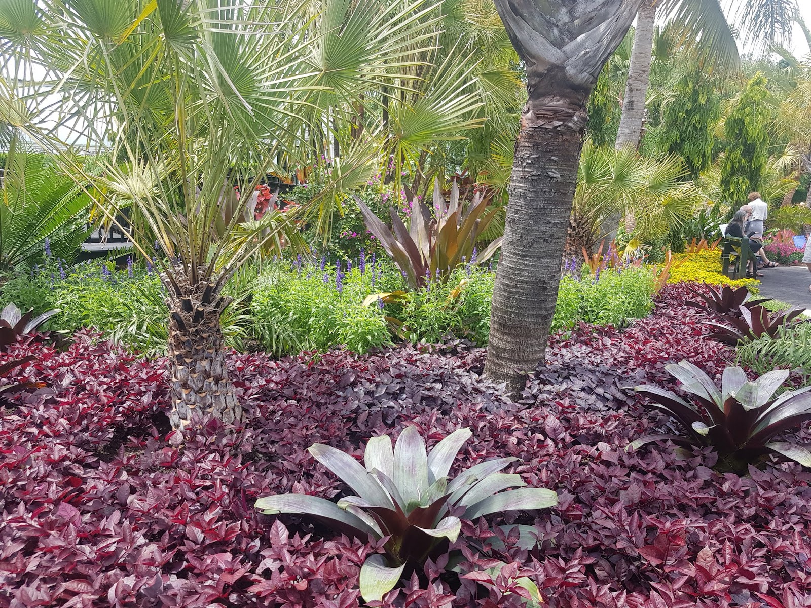 Gourmet Gardening: Roberto Burle Marx: a visionary landscape architect ...