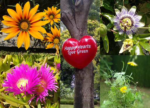 EL MUNDO DE LAS PLANTAS