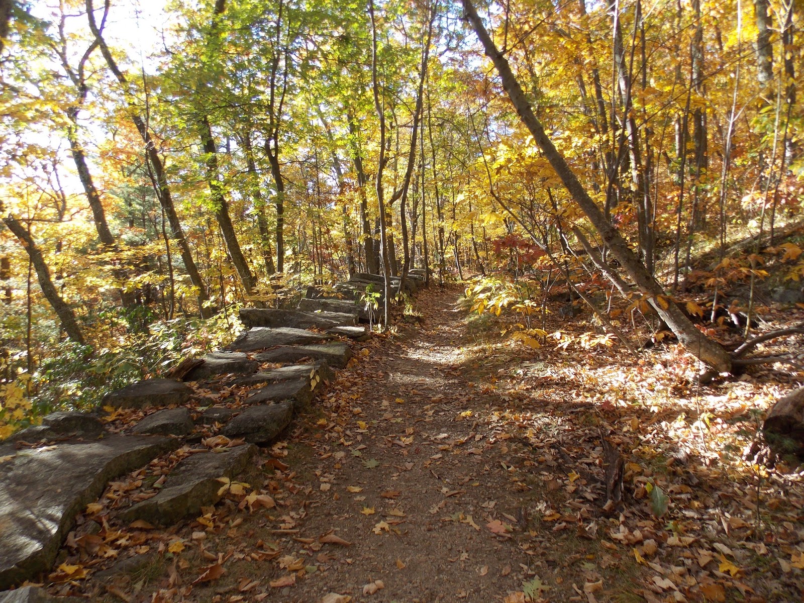 Adventures for Anyone: The Best of My Fall Photos...In Connecticut!