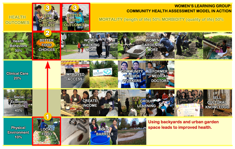 Young Projects: Community Health Assessment Model in Action