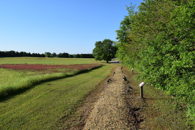 Ingomar Mounds