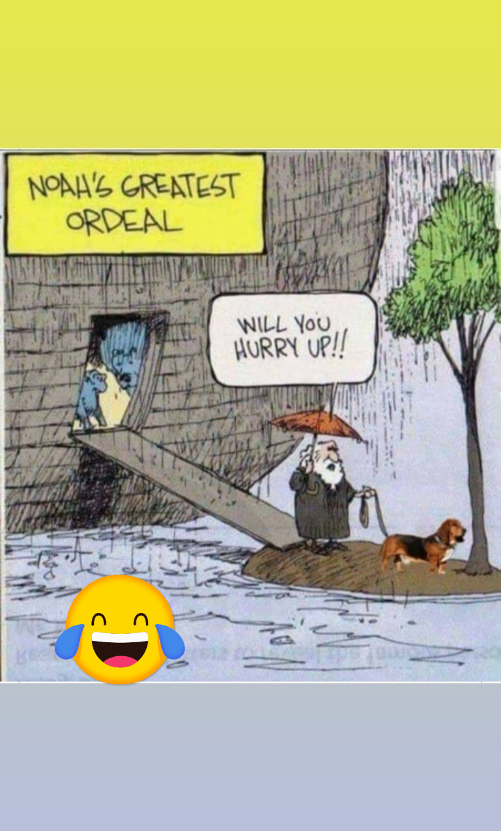 A Dixie Lady Deer Hunter: Hurry Up