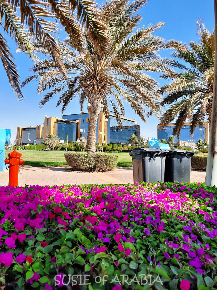 Jeddah Daily Photo: SCENES FROM KAEC