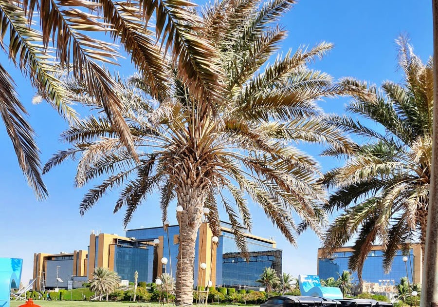 Jeddah Daily Photo: SCENES FROM KAEC