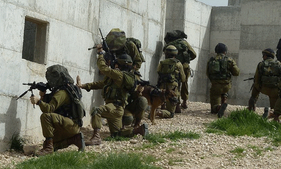 FOpEsp (Forças de Operações Especiais): Informativo FOpEsp, nº 20