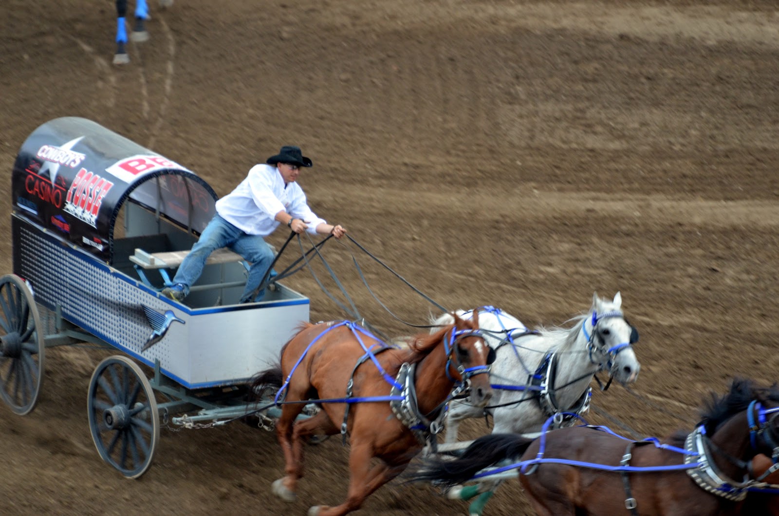 RVing Beach Bums: Calgary Rodeo Chuck Wagon Races