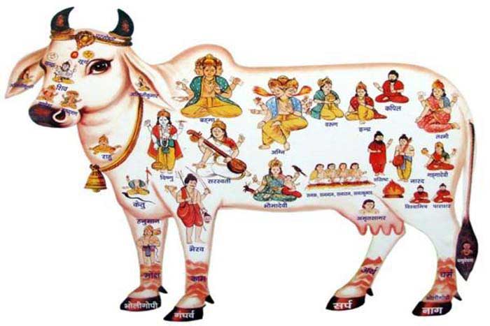 Go Parikrama and Go Mata Puja – Benefits of Cow Worship and ...