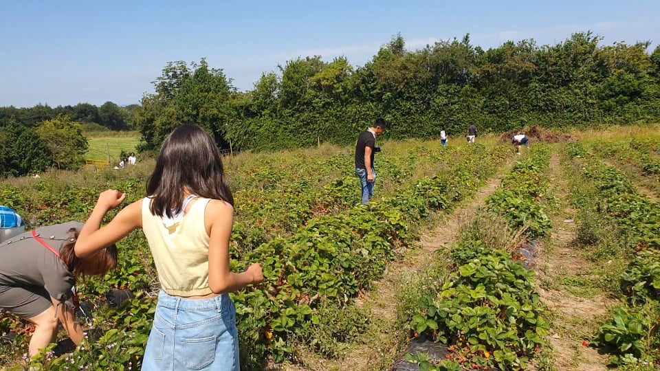 VISITING LAMBERT'S FRUIT FARM FOR A FAMILY SUMMER FUN ACTIVITY