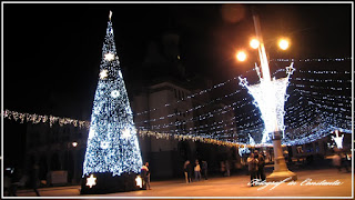 Piata Ovidiu, luminata pentru sarbatorile de iarna - Fotograf in Constanta