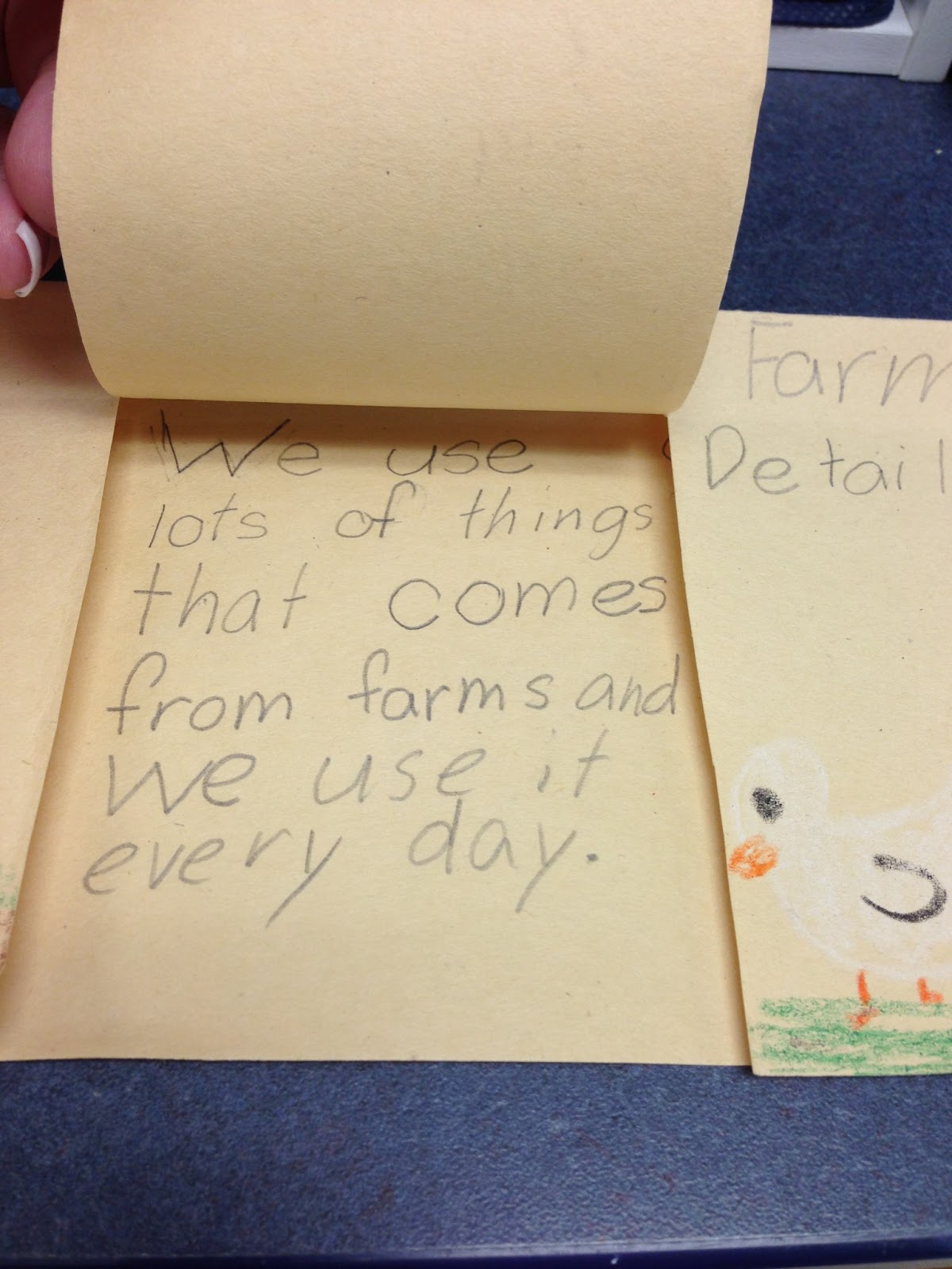 Bishop's Blackboard: An Elementary Education Blog: All Kinds of Farms