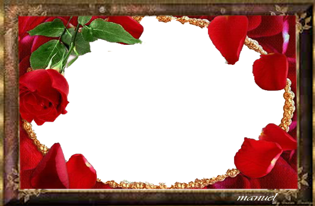 Marcos para fotos transparentes - Imagui